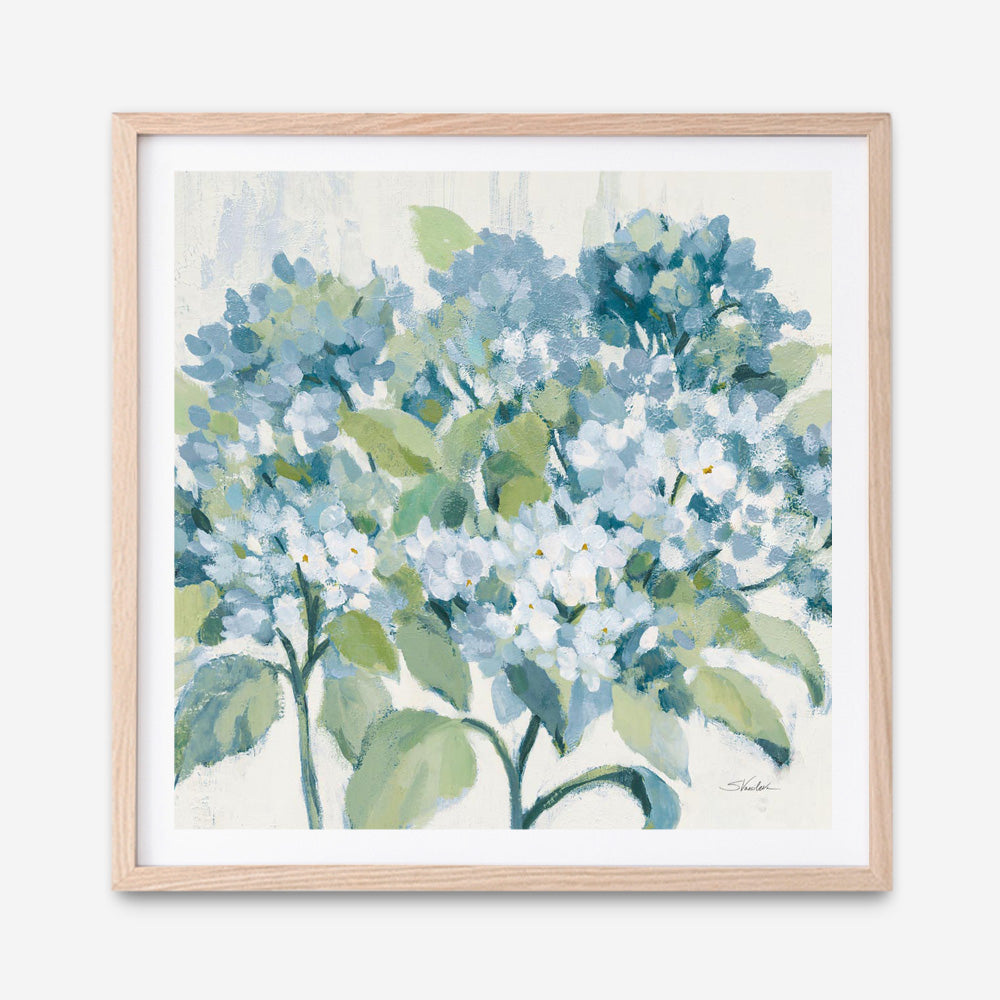 Buy Romantic Hydrangeas Blue Square Wall Art Print | The Print Emporium®