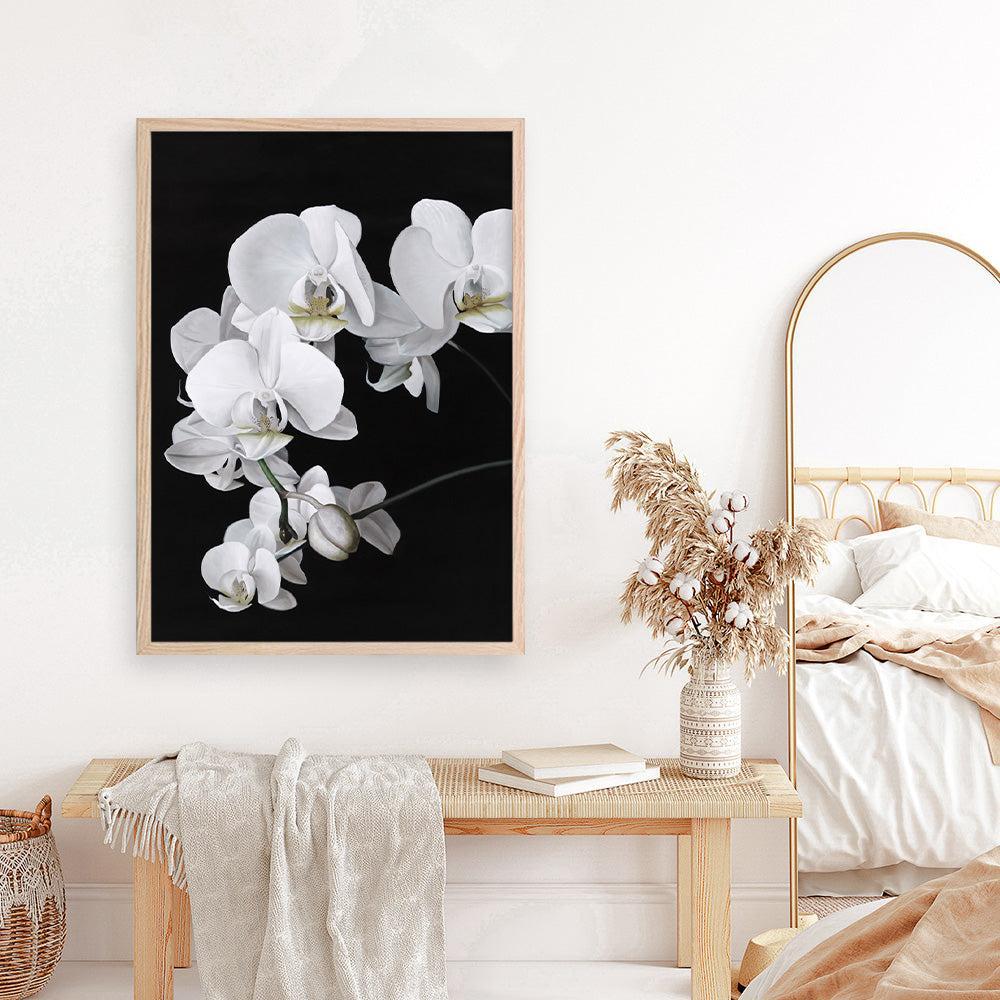 Buy Orchid Art Print | The Print Emporium®
