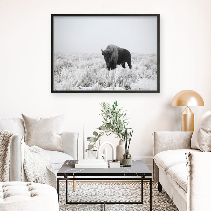 Buy Snow Buffalo Photo Art Print | The Print Emporium®