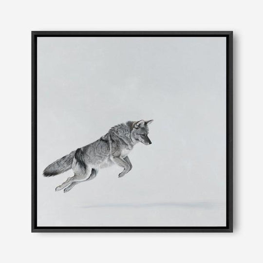 Buy Snow Fox Square Canvas Print | The Print Emporium® Store
