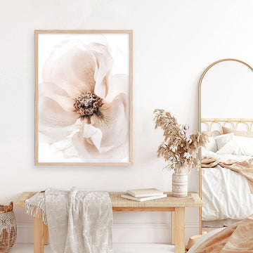 Buy Winter Blooms II Photo Art Print | The Print Emporium®