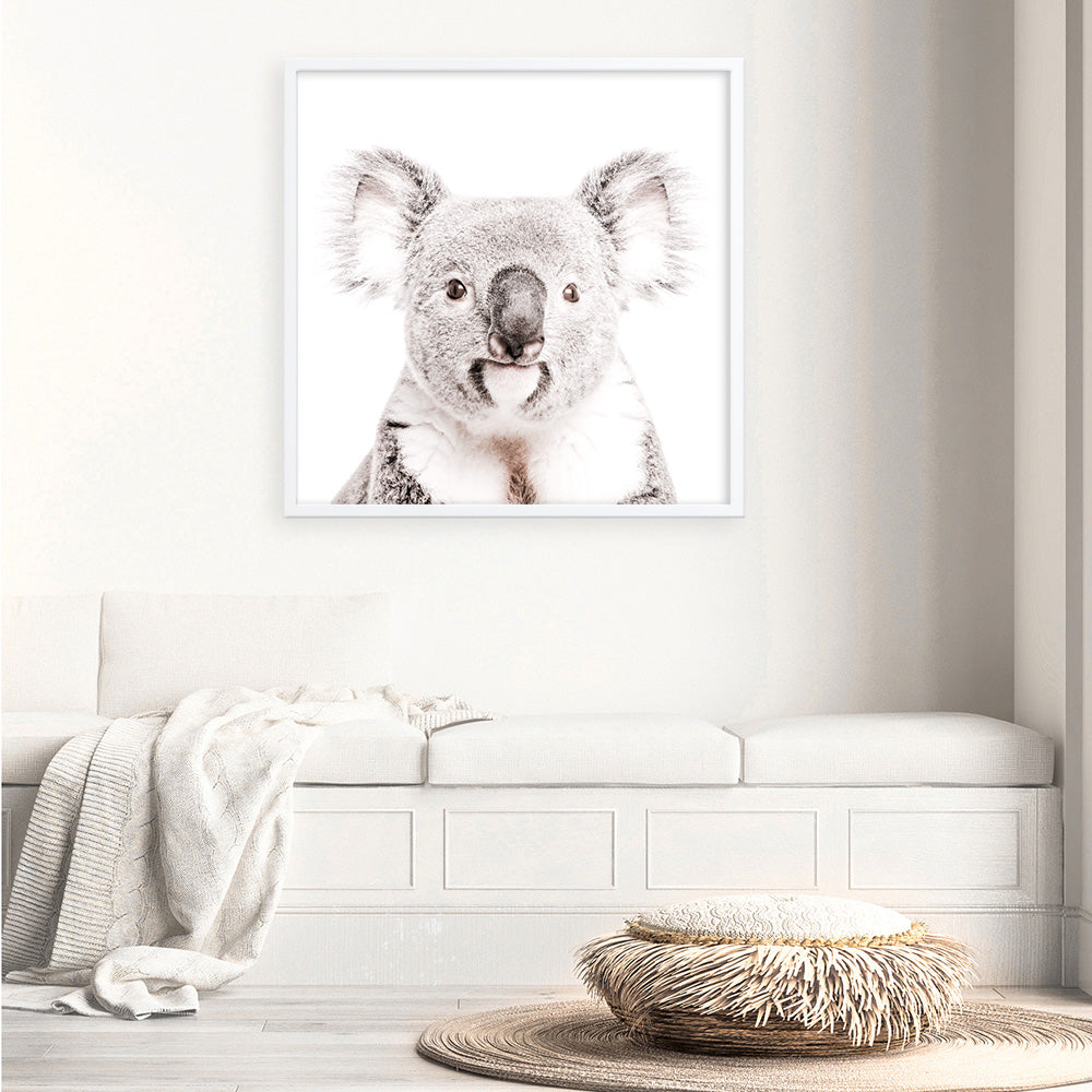Buy Koala Square Photo Art Print | The Print Emporium®